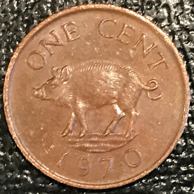 HIGH GRADE AU DETAILS (SURFACE ISSUES) 1970 BERMUDA WILD BOAR 1 CENT ...