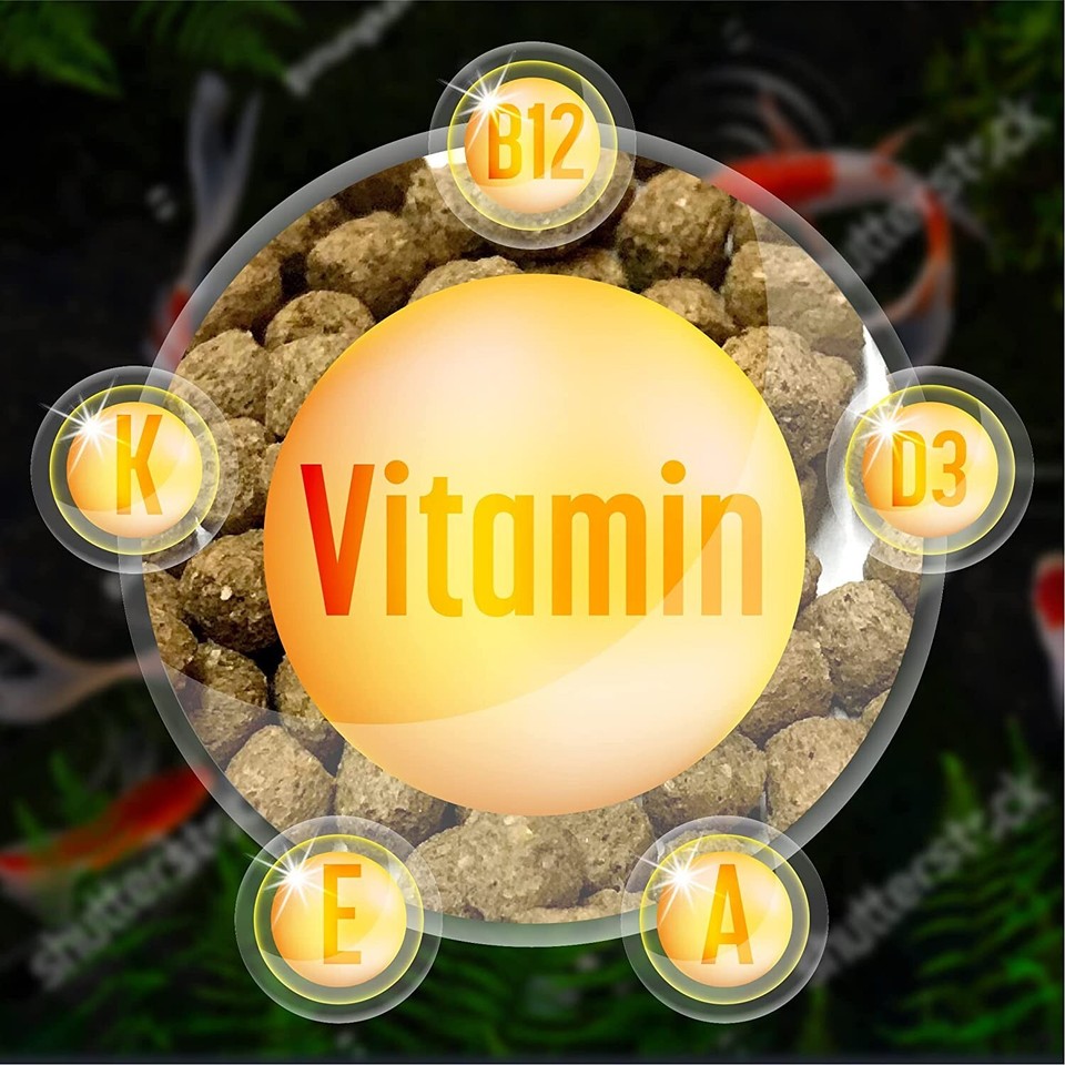 20 LBS FLOATING KOI FISH FOOD - FAST FREE SHIPPING!!! MADE IN USA ...