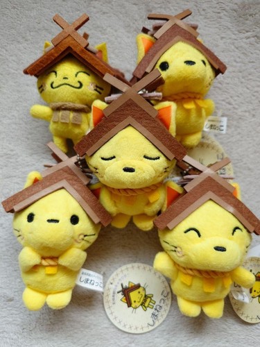 Set di 5 mascotte di peluche Shimane Tourism Character Shimanekko 11 cm ...