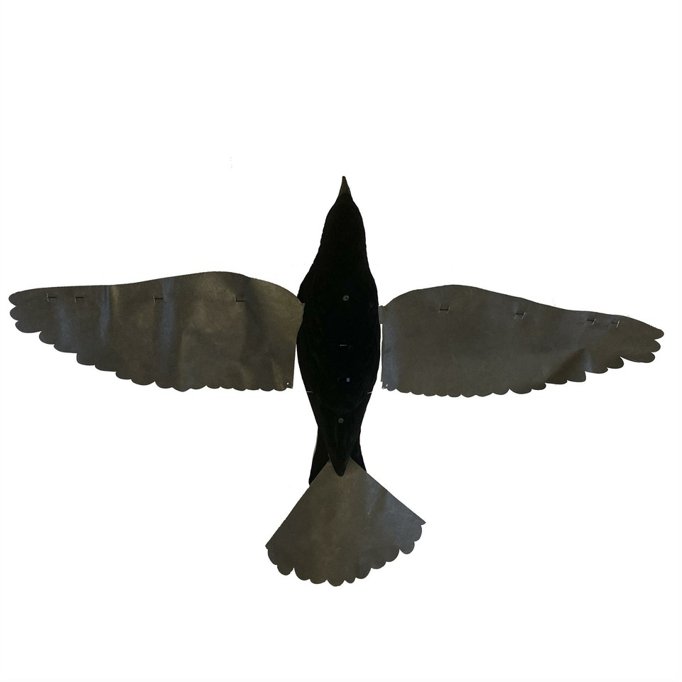Proflap Flying Crow Decoys x2 Flocked Realistic Flapping Wings Magnet ...
