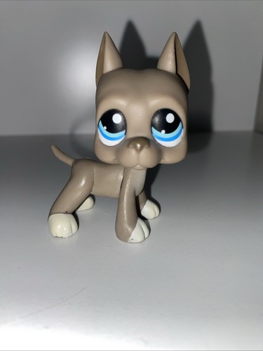 authentic Great Dane Lps Littlest Pet Shop Dog Cute | eBay