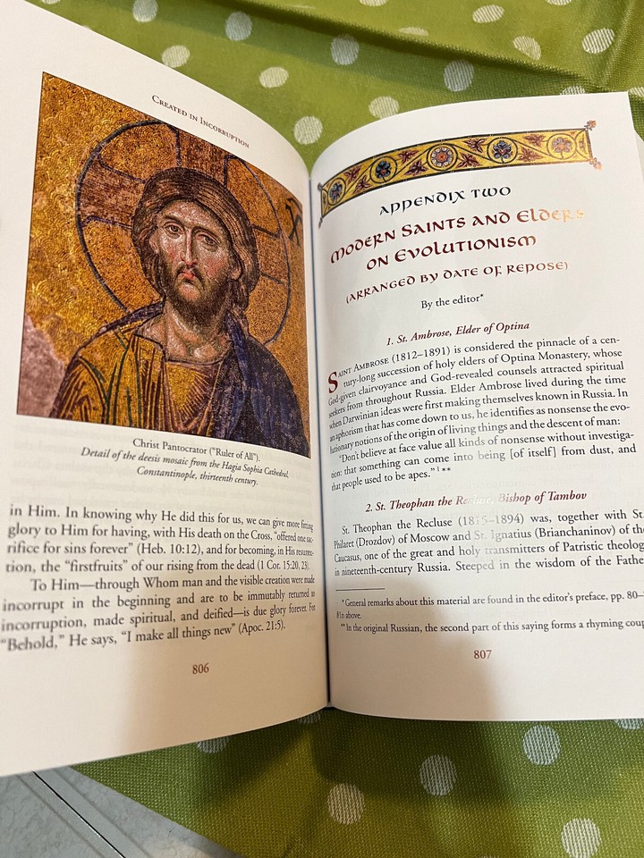 Genesis, Creation, and Early Man by Fr. Seraphim Rose - NEW 3rd edition ...