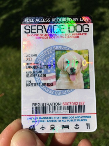 PROFESSIONAL HD PRINTED SERVICE DOG ID CARD CUSTOMIZE ANIMAL BADGE TAG ...