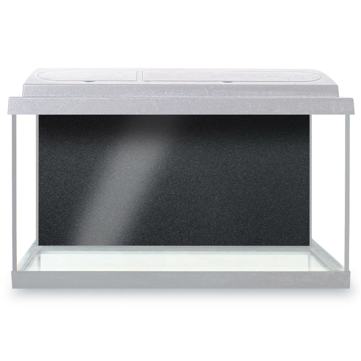 Empty Fish Tank Background