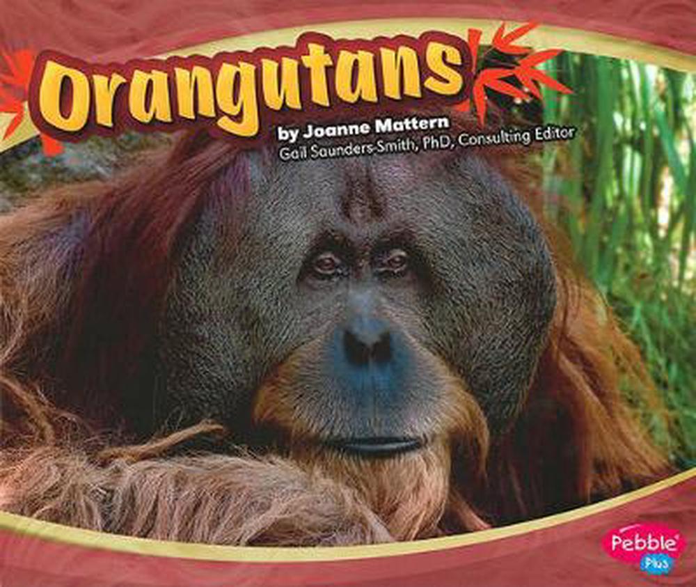 Orangutans by Joanne Mattern (English) Paperback Book 9781429648486 | eBay