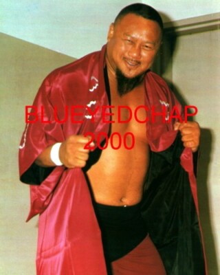PROFESSOR TANAKA WRESTLER 8 X 10 WRESTLING PHOTO WWWF | eBay