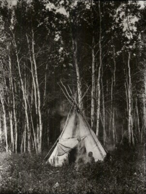 1972 Original Edward Curtis Chippewa Indian Teepee ASPEN Trees Art ...
