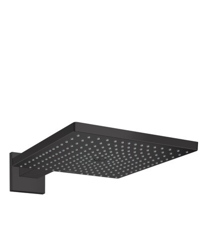 Hansgrohe shower head Raindance E 300 1jet 26238670 | eBay