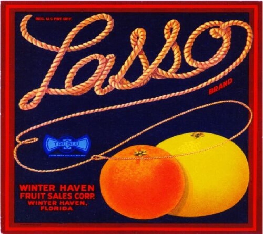 Lasso Brand Orange Winter Haven Florida Citrus Fruit Crate Box Label ...