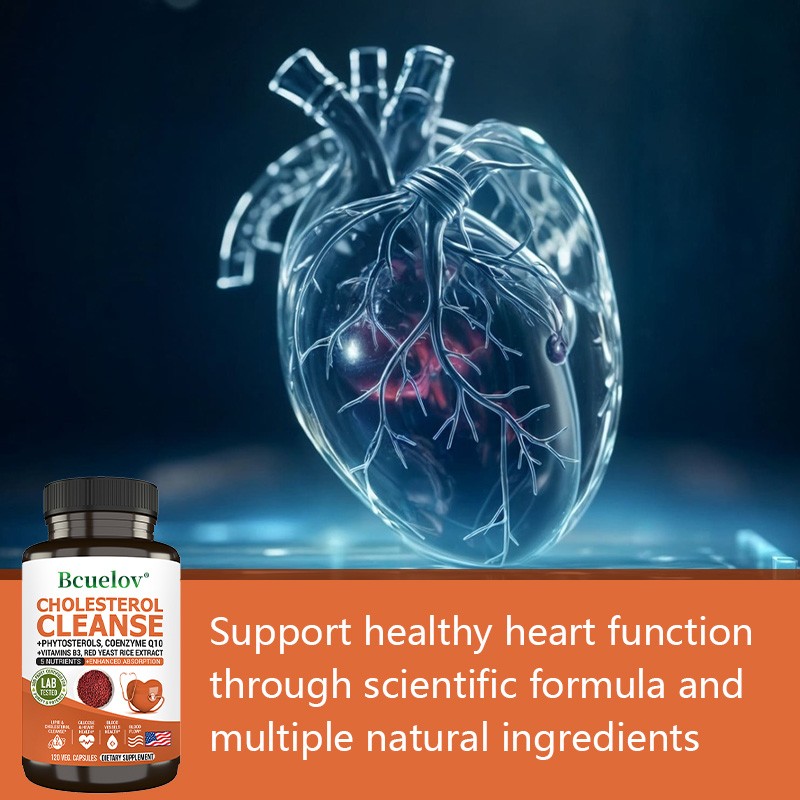 Cholesterol Cleanse- Healthy Heart Blood Vessels Artery Circulation ...