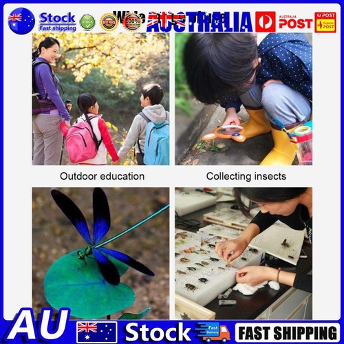 AU Transparent Insect Catcher Bug Viewer Magnifier Container 6X Optical ...
