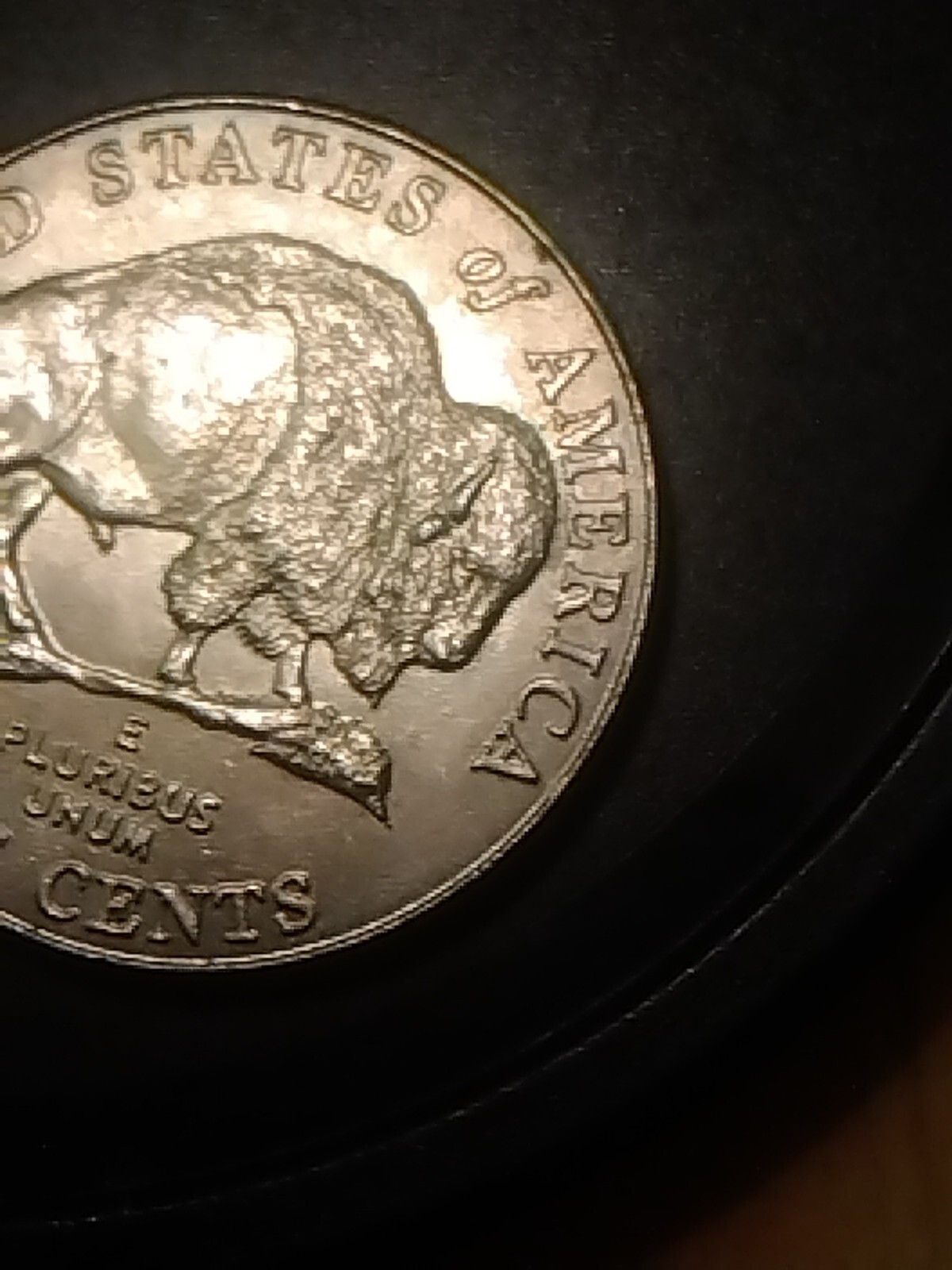 2005 D Rare Jefferson Buffalo Nickels Error Spear Double Die in ...