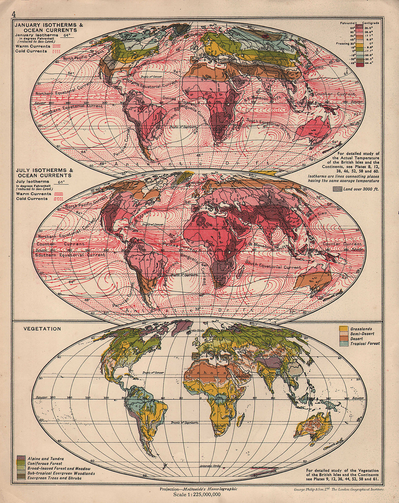 1935 MAP ~ THE WORLD ISOTHERMS & OCEAN CURRENTS ~ VEGETATION LANDS ...