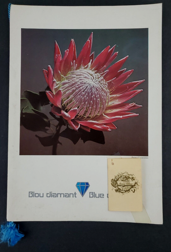 1980s SAL SAA Airlines Menu Johannesburg To New York City Blue Diamond ...