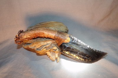 Subtle Sheen Obsidian Skinning Knife Flint Knapping Black Powder ...