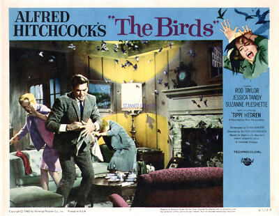 THE BIRDS ROD TAYLOR IN ALFRED HITCHCOCK CLASSIC PHOTO REPRO OF LOBBY ...