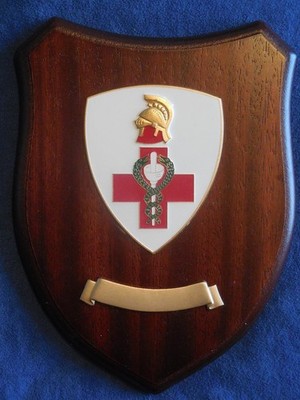 Crest scuola di sanità militare croce rossa | eBay