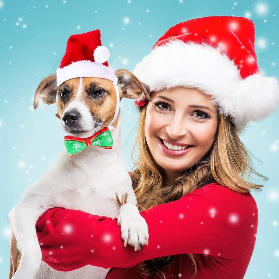 Christmas Cat Costume Small Dog Santa Hat with Scarf Puppy Kitten Xmas ...