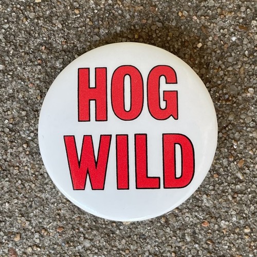 Hog Wild Vtg Pinback Button-Arkansas Razorback Razorbacks Go Hogs! | eBay