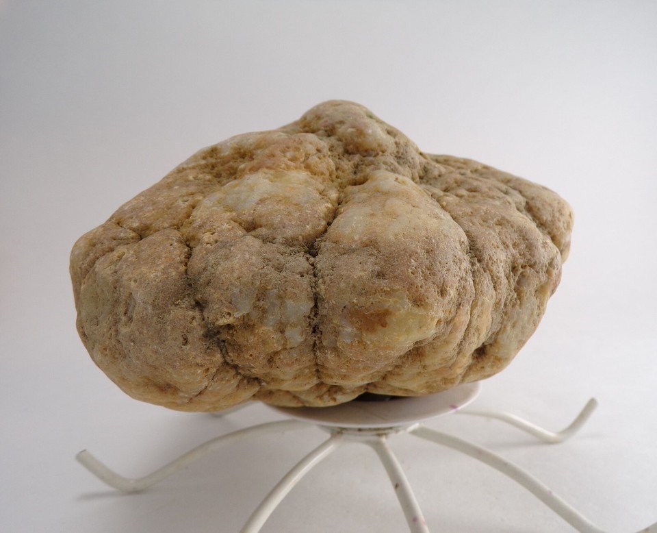 6.5" Large Unopened Uncut Bumpy Geode Nodule 3 LB Crystal Quartz Unique ...