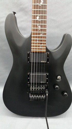 Schecter Damien Platinum-6 Electric Guitar, Mahogany Body, Floyd Rose ...
