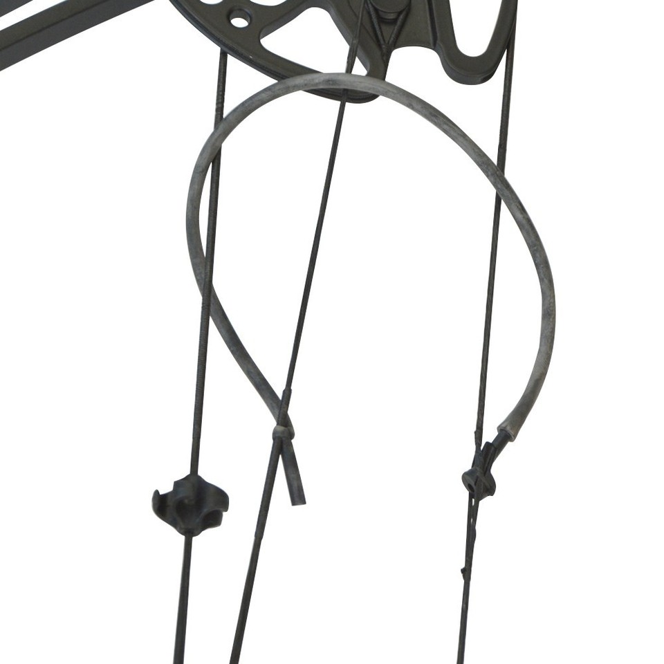 Compound Bow Carbon Arrow 30-70lbs Adjustable RH Archery Hunting ...