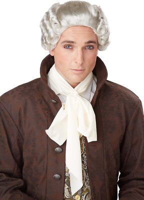 18th Century Peruke Wig Colonial Fancy Dress Halloween Adult Costume ...