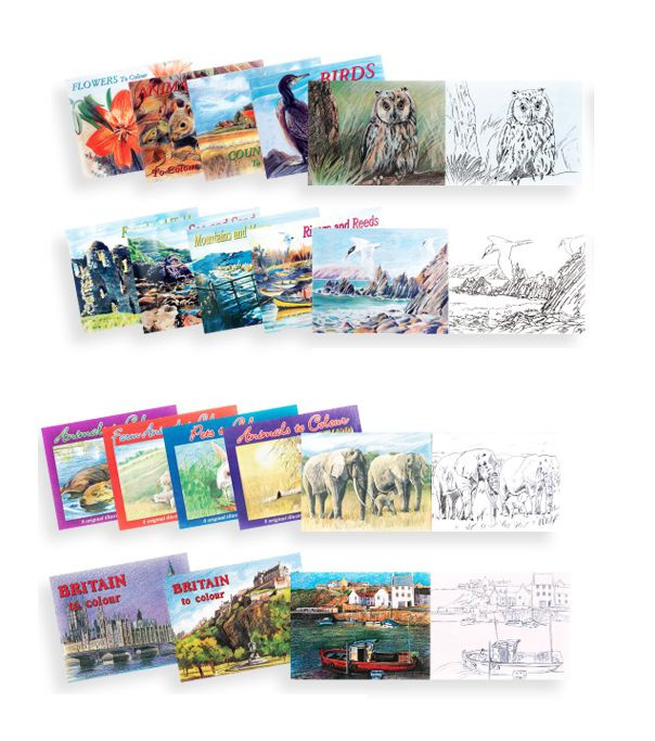 Adult Colouring Books Pro Advance Level Artist Expert Quality Painting ...