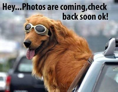 Siemens RCC-1F (MKB-3) Remote Command Center Fire Alarm Panel (2 ...