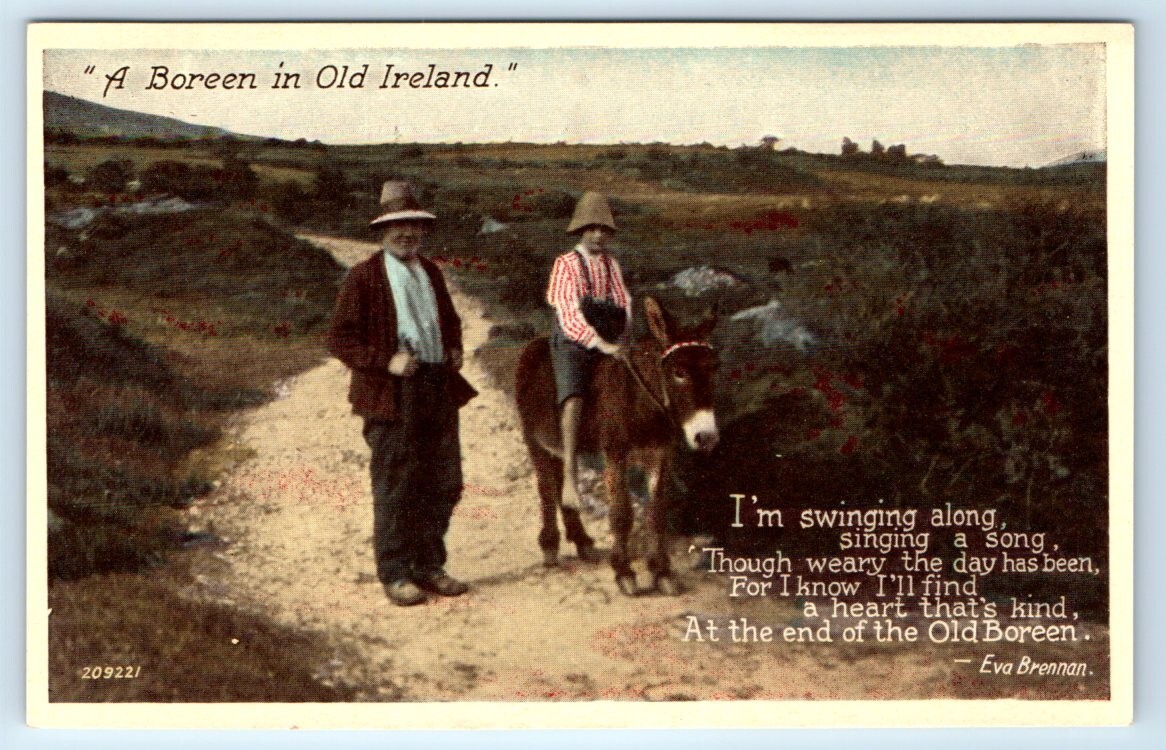 Boreen Meaning Woodland Wonders Take Over The Ramp Boreen In Tallow