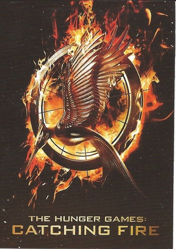The Hunger Games Katniss Catching Fire Badge Brooch Pin | eBay
