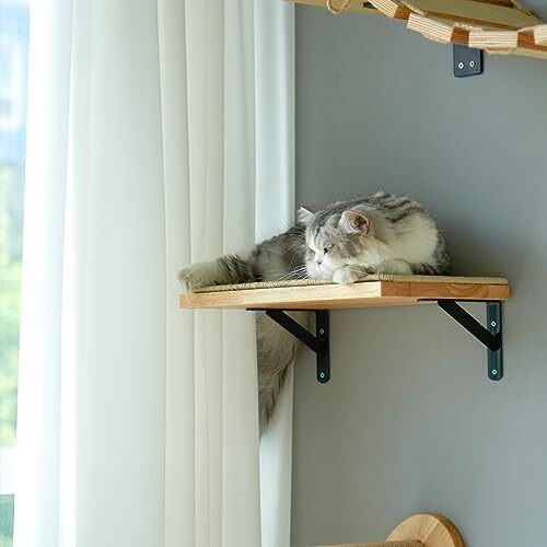 Cat Wall Shelves 16 x 10 Inch Cat Wall Furniture with Sisal Mat Solid ...