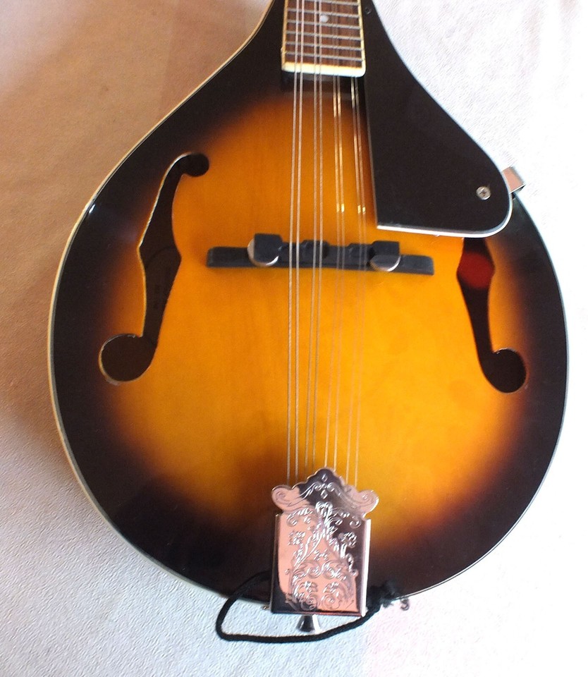 Nice Johnson Oval Hole Mandolin Model MA-100 | eBay