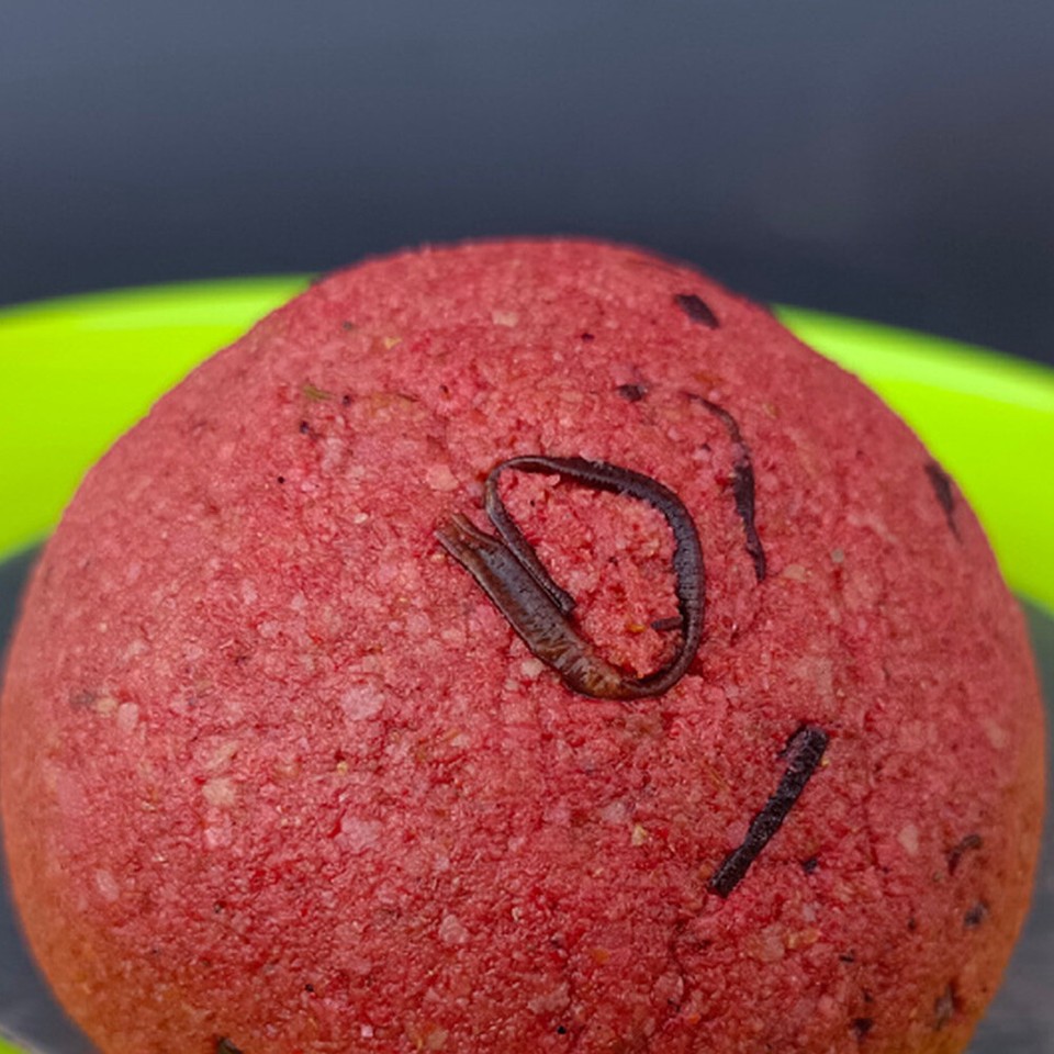 Fishing Bait Real Earthworm Bait Durable for Freshwater Saltwater ...