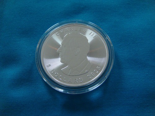 2025 Canada Silver Maple Leaf 1 Troy Ounce $5 Coin .9999 Fine BU DF ...