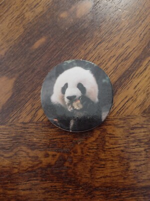 milk cap pog - Panda - Mint - Free Shipping | eBay