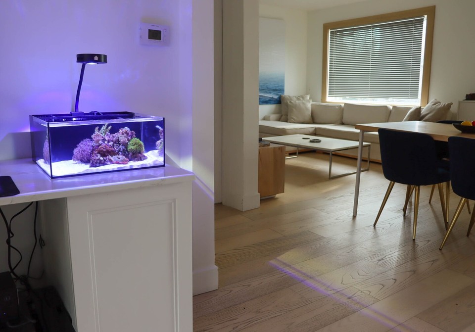 BRAND NEW 6 Gallon Pico Glass Nano Saltwater Or Fresh Water Aquarium ...