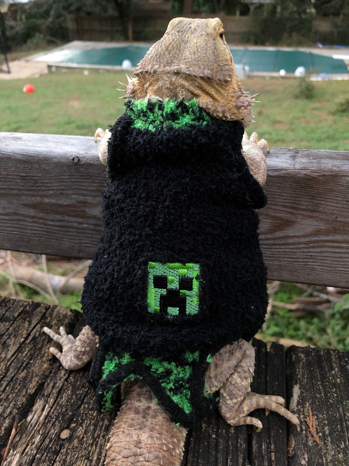 MINECRAFT PRINTS SNUG XLRG SLEEVELESS BODY SHIRT 4 UNISEX BEARDED ...