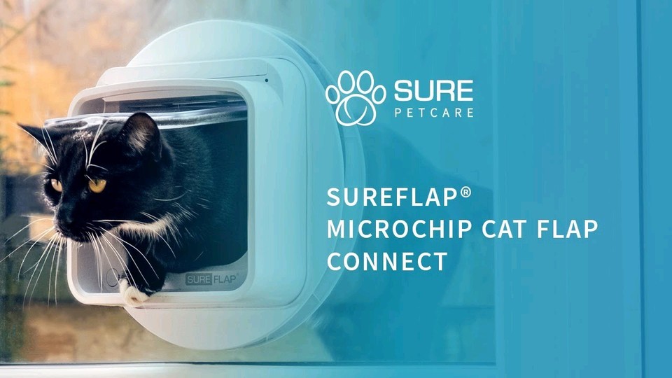 SureFlap Microchip Cat small dog Flap Connect Hub FREE Delivery door Wi ...