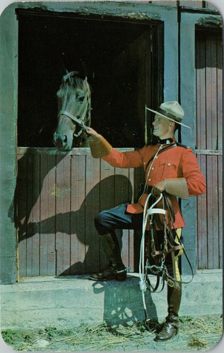 RCMP Policeman & Horse Faithful Friend Royal Canadian Mounted Police ...