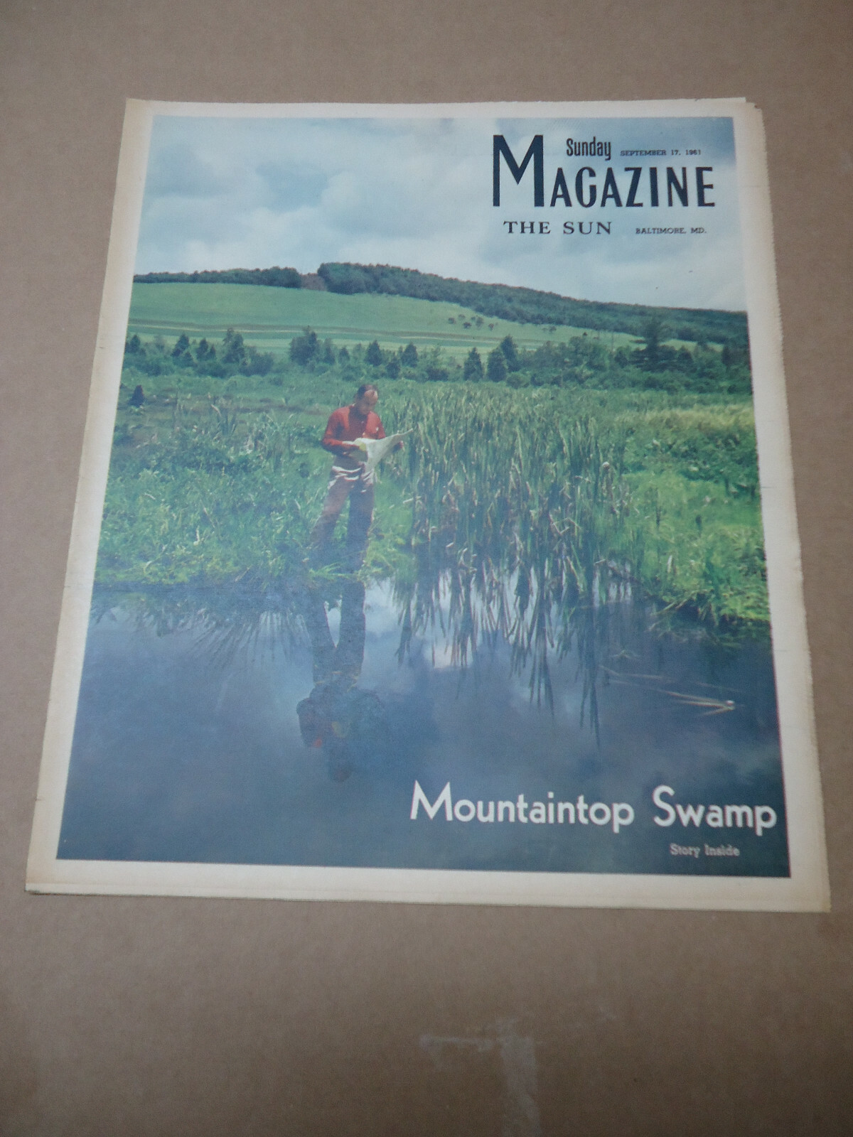 Baltimore Sun Magazine - Mountain top swamp Grantsville MD 9 17 1961 | eBay