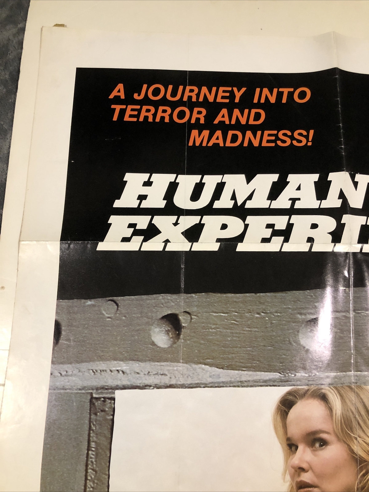 HUMAN EXPERIMENTS 1980 Original Movie Poster 25 X 38 Linda Haynes | eBay