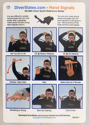 Hand Signals Dive Slates (2 Slates) - Important Scuba Equipment for All ...