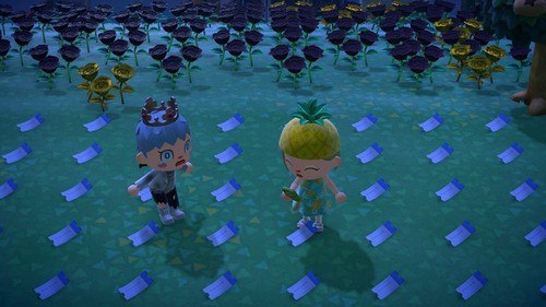 ACNH New Villagers (Cyd, Dom, Audie, Megan, Judy, Raymond, Reneigh ...