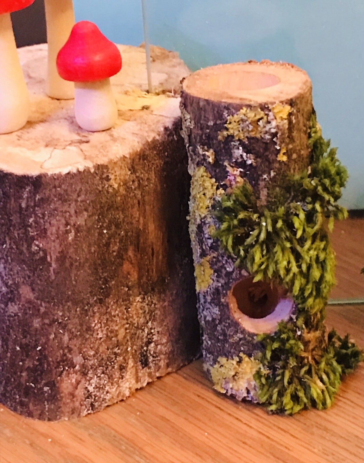 Jumping Spider/reptile Wooden Log Hides Magnetic Enclosure Decor ...