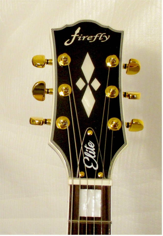 Firefly FFLPS-BK-E-336 Elite Series Electric Guitar - Black | eBay