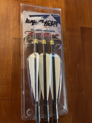 Excalibur Firebolt 20" Illuminated Carbon Arrows 3 pack - 22CAVIL-3 Illumenok | eBay