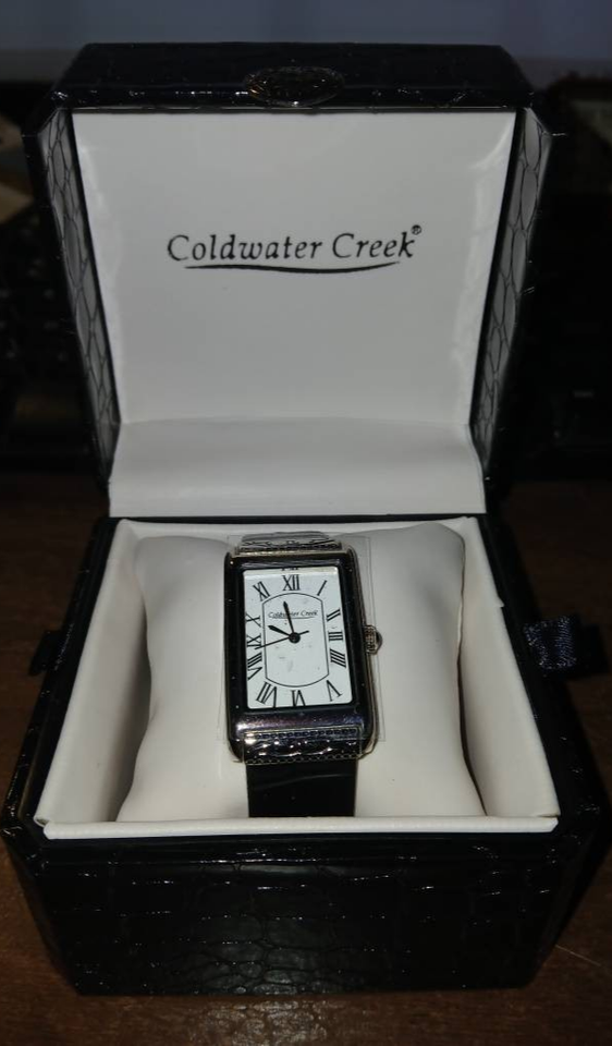 Coldwater Creek Womens Tank Style Watch 24mm Silver Tone Case Leather ...