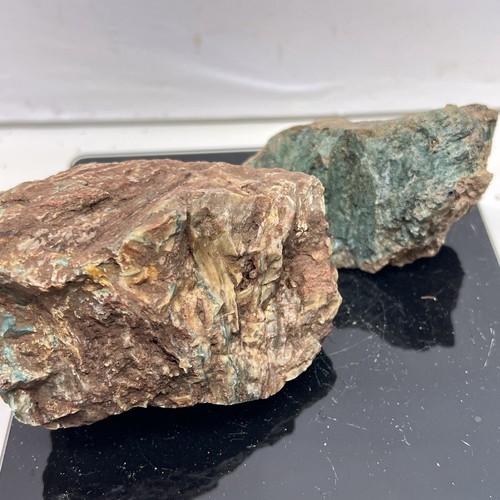 1lb 5oz Old Stock Hampton Butte Green Petrified Wood. Lapidary Rough ...