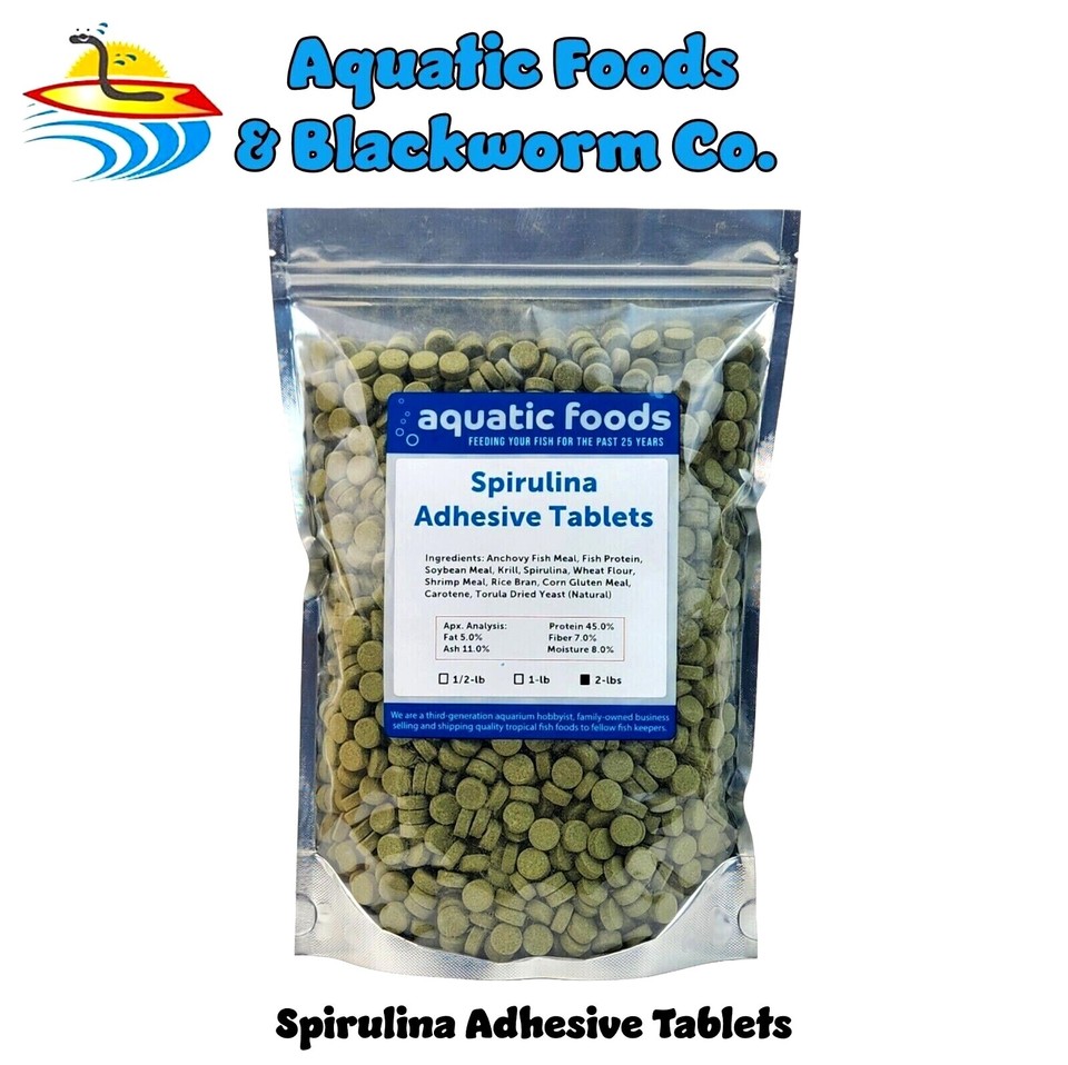 Spirulina Glass Adhesive Tablets for Bottom Feeders, Tropical Fish ...